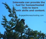 Interest-based learning | Engaged Homeschooling