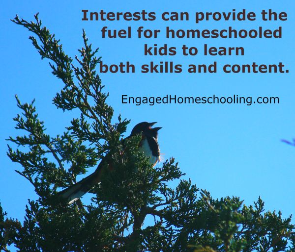 Interest-based learning | Engaged Homeschooling